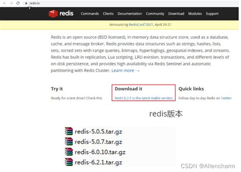 linux服务器redis安装启动 centos7 centos后台启动redis csdn博客
