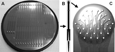 A Completed Microelectrode Array Circuits N 32 On One Wafer Prior