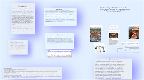 Dna Barcoding Of Fungi By Haytham Aniny On Prezi