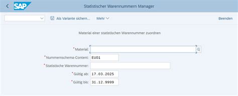 Efficient Use Of The Sap Gui Statistical Commodity Code ⋆ Munich Enterprise Software