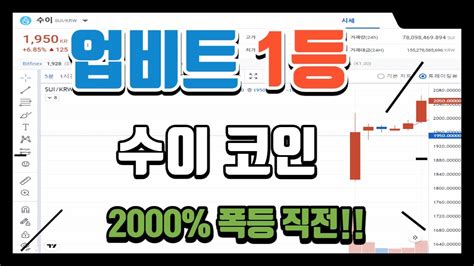 수이코인 1000 상승한다 수이코인수이코인전망수이코인매수가수이코인수이코인비트코인수이전망 Youtube