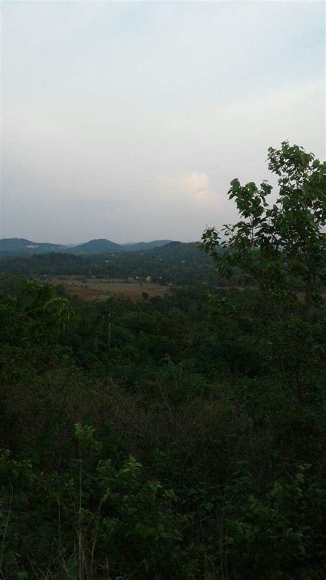 Sowmini Suresh Posted On Linkedin