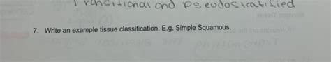 Write An Example Tissue Classification Eg Simple Squamous Filo