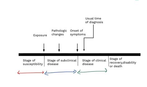 Diagram Of Pathogenesis 2 Quizlet