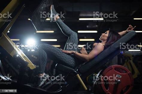 피트 니스 소녀 포즈 체육관에서 보여주는 그녀의 몸과 휴식 후 운동 가냘픈에 대한 스톡 사진 및 기타 이미지 가냘픈 갈색 머리 건강한 생활방식 Istock