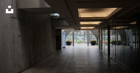 An Architecture Passageway With Plants And Glass Photo Free Building Image On Unsplash