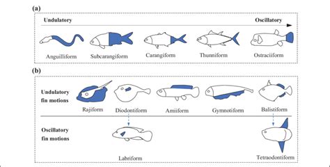 Classification Of Swimming Modes A Bcf And B Mpf Blue Areas