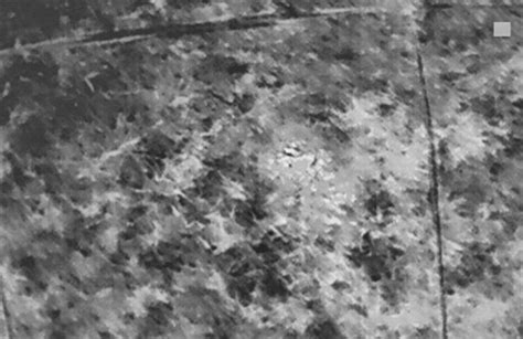 Detect Count And Visualize Object Detection Object Detection Dataset
