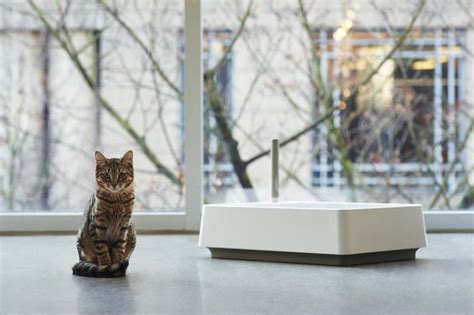 Lighthouse Labs On Linkedin Tuftandpaw Coding Webdevelopment