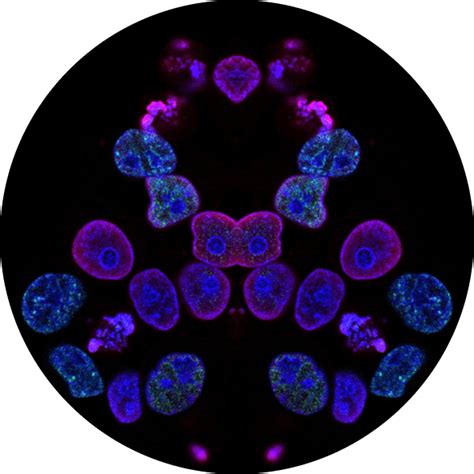 Our Science And Research Scientific Overview Rhythm Corporate