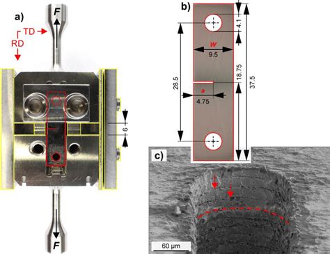Fracture Mechanical Testing In A The Specimen Fixture Specimen Download Scientific Diagram