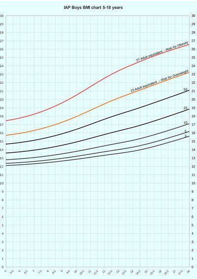 Body Mass Index What Is Bmi And How To Calculate It Fitterfly