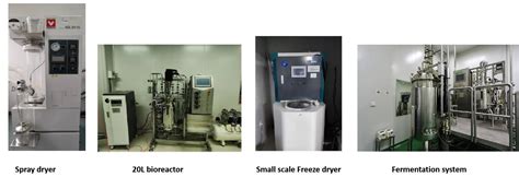 Recombinant Antibody Production Services Profacgen