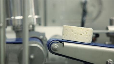 Pasteurizer System For Dairy Pasteurizers