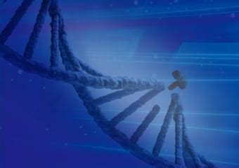 CRISPR Synthetic Cas9 SgRNA Solutions GenScript