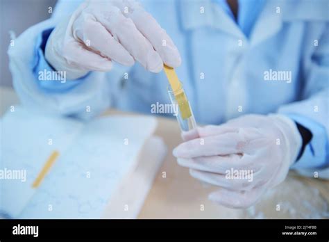 Close Up Scientist Lab Assistant Dipping A Strip Of Litmus Paper Into A Liquid Substance In A