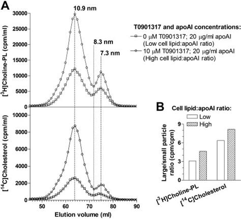 heterogeneity of nascent hdl as a function of the available cell