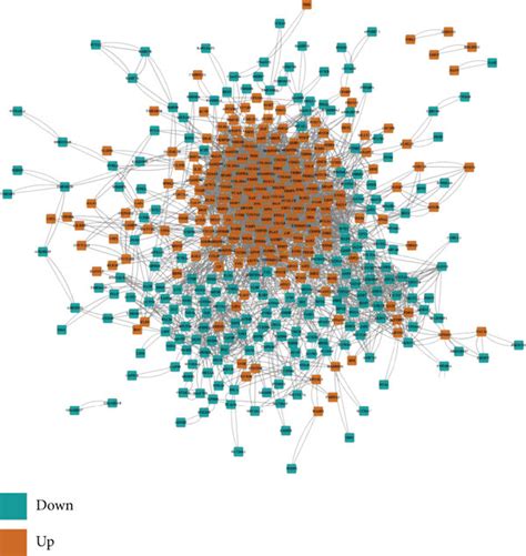Ppi Network Analysis A Ppi Network Diagram Of Shared Differential