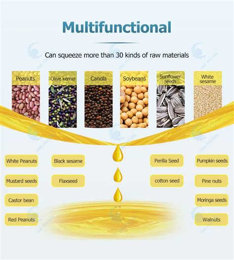 Industrial Chilli Seed Corn Maize Groundnut Avocado Oil Extraction