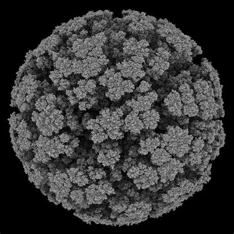 andy lomas aggregation flow motamota