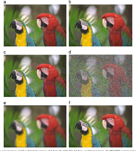 Figure 1 From No Reference Image Quality Assessment In Curvelet Domain