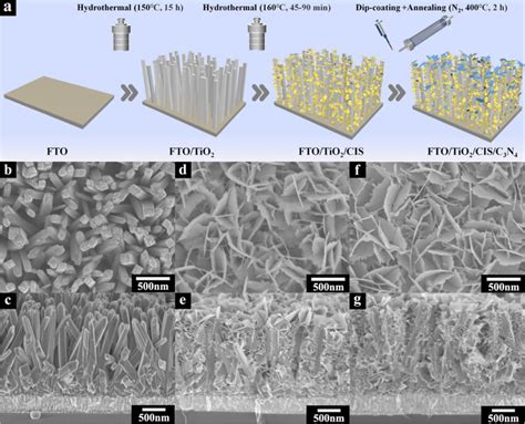 A Schematic Diagram Of The Fabrication Process Of The Hierarchical Download Scientific