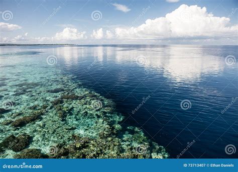 Shallow Reef And Deep Water Drop Off Stock Image Image Of