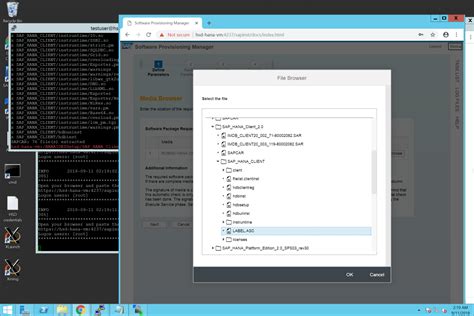 Ides S4 Hana 1610 Rdbms Hana Client File Error Sap Community