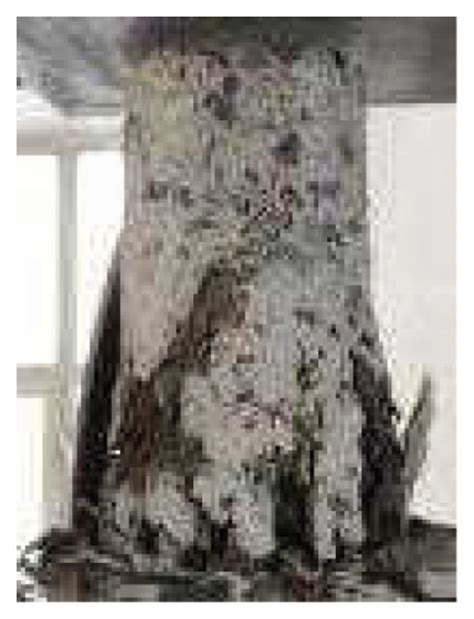 Axial Compression Test A 0 B 1 C 2 Download Scientific