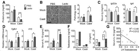 Sex Hormones And Gut Microbiota Cooperatively Regulate LN A Download Scientific Diagram