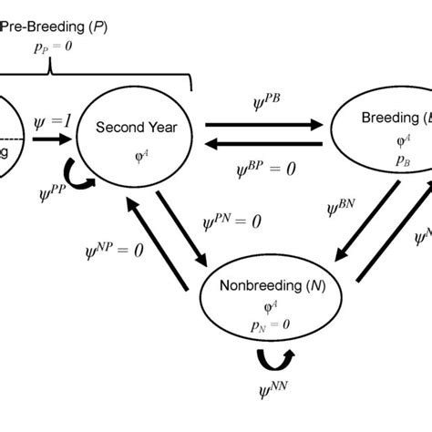 Multistate Modeling Framework Including All Parameters Associated With Download Scientific