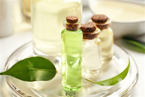 The Ultimate Guide On How To Dilute Tea Tree Oil Aromatherapy United