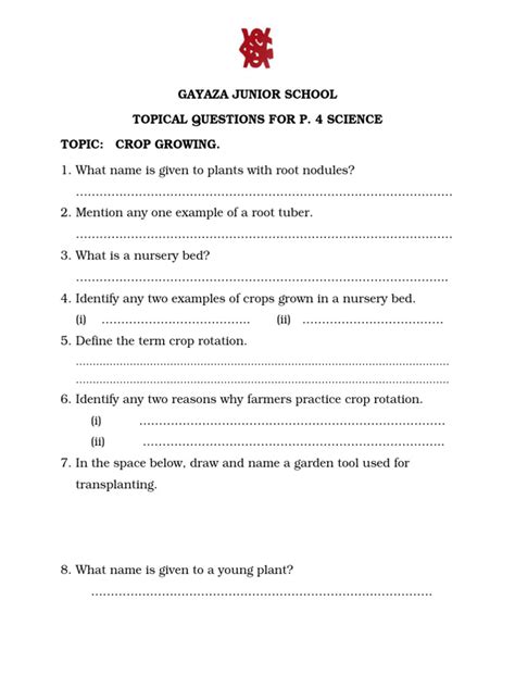 primary 4 set ii 2020 pdf