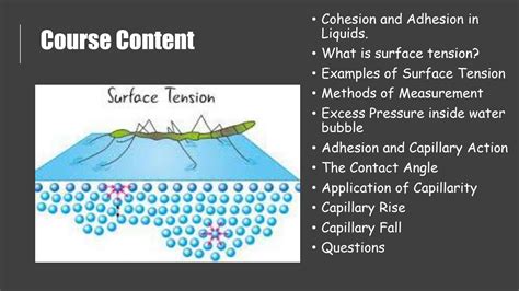 Solution Physics 101 Surface Tension And Capillary Effect And