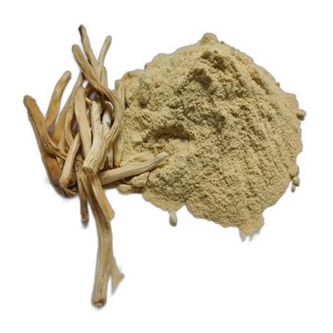 Asparagus Racemosus Root Packaging Type Poly Bag Shataveri At ₹ 600kg In New Delhi Asparagus Racemosus Root Packaging Type Poly Bag Shataveri At ₹ 600kg In New Delhi