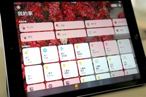 晒鱼 — 苹果家庭apple Homekit App中家居中枢设置体验之设备没有响应，还原及重设