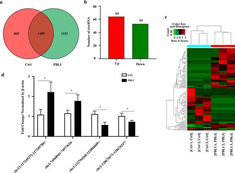Identification And Validation Of De Circrnas A Numbers Of Circrnas
