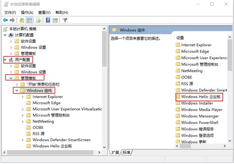 享受无缝登录：在windows 11上移除密码和pin码 都叫兽软件 都叫兽软件