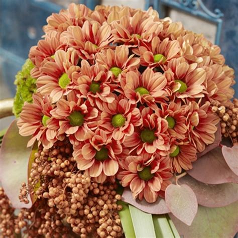 Deep Red Mums Spray Flower Delivery You Floral