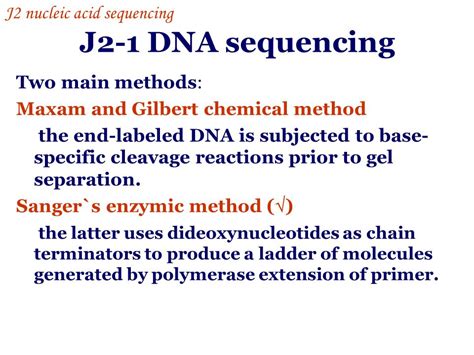 Section J Analysis Of Cloned Dna Ppt Video Online Download