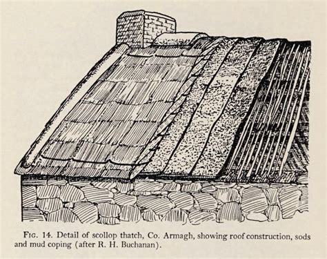 Detail Of Scollop Thatch Ireland