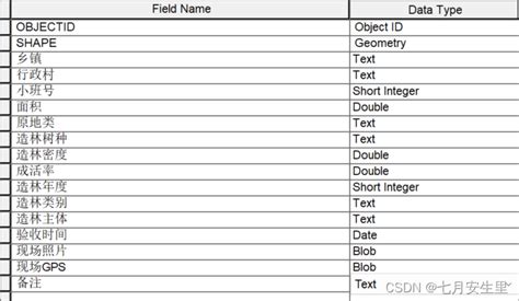 Arcgis属性表——字段gis字段类型 Csdn博客