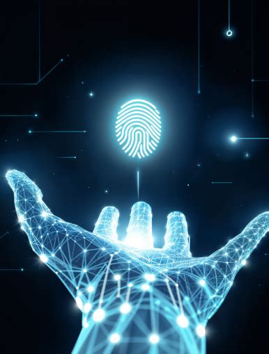 Best Structured Cabling Company In Qatar Networking Solution Providers In Qatar