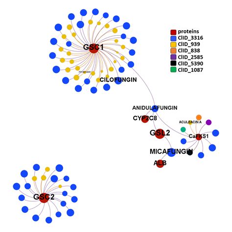 Molecules Interacting With Glucan Synthase