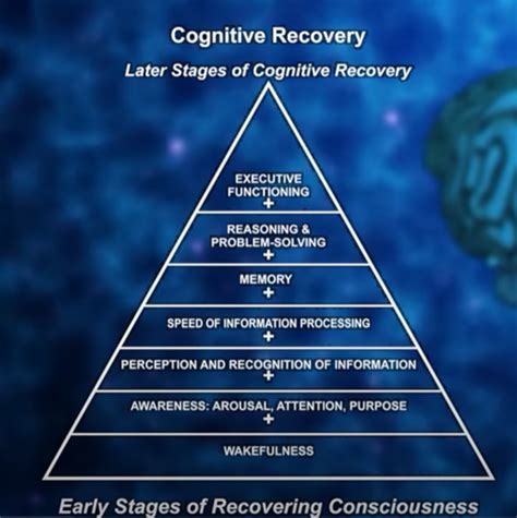 Ranchos Los Amigos Levels Of Cognitive Functioning Scale Flashcards