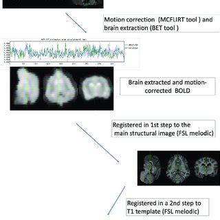 Schematic Representation Of The Pre Processing Of FMRI Data The First Download Scientific