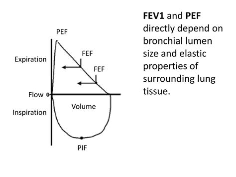 Therapy Of Bronchial Asthma Ppt Download Therapy Of Bronchial Asthma Ppt Download