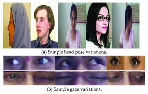 Sample Head Pose And Gaze Images Download Scientific Diagram
