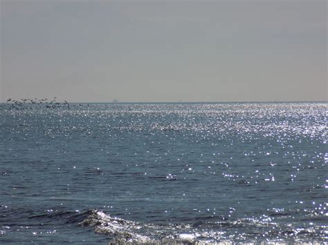 შავი ზღვა Black Sea Cagu Flickr