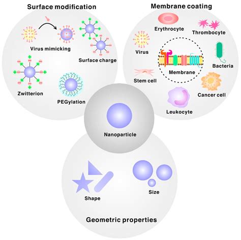 Bio Inspired Nanomaterials For Micronanodevices A New Era In Biomedical Applications